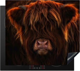 MuchoWow Herdabdeckplatte Ceranfeld Spritzschutz Küche Schottischer Highlander - Kuh - Porträt - Tiere 59x52 cm Induktionsherd Abdeckung Induktionskochfeld Cer