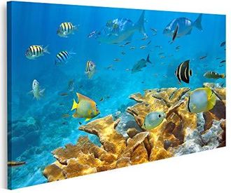 Islandburner Tableau sur Toile Poissons de r&eacute;cif Coraux Elkhorn Tropical Mer des Cara&iuml;bes Cadre Affiche Poster Murale Tableaux