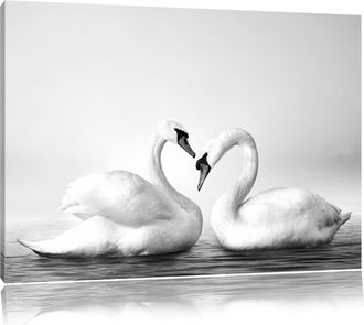 Pixxprint Zwei prächtige Schwäne auf dem Wasser Kunst B&W, Größe: 100x70cm, Leinwandbild, fertig gespannt, Wandbild, Dekoration, Kunstdruck, kein Poster