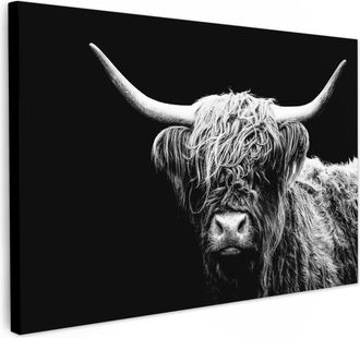 MuchoWow © Bilder Groß 120x80 cm XXL Wohnzimmer Deko Modern Wandbild Foto auf Leinwand Bild Schlafzimmer Room Decor Geschenke Schottisches Hochlandrind - Highl