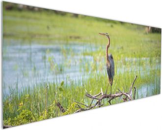 Wallario K&uuml;chenr&uuml;ckwand aus Glas 125 x 50 cm, Motiv: Graureiher am Wasser | Spritzschutz abwischbar & pflegeleicht