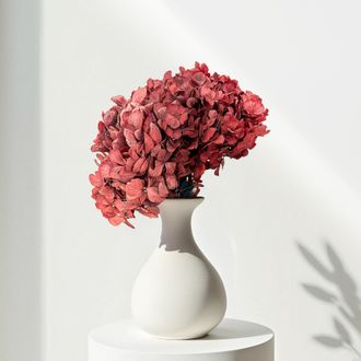 Lykke & You konservierte Hortensie | Trockenblumen f&uuml;r Wohnzimmer, B&uuml;ro, Tischdeko, Hochzeit, Fr&uuml;hlingskranz & Einzugsgeschenk - Hortensien getrocknete Blumen Dek