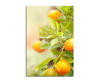 Paul Sinus Art Fotoleinwand 90x60cm Food-Fotografie - Mandarinen am Baum