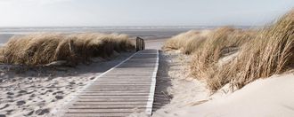 Eurographics Eurographics Glasbild, DG-DT5250 Deco Glass - Morning Walk 50 x 125 cm