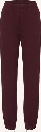 Lacoste Hose rot