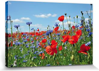 1art1 Blumen Poster Wildblumen-Wiese Mit Mohn- Und Kornblumen Bilder Leinwand-Bild Auf Keilrahmen | XXL-Wandbild Poster Kunstdruck Als Leinwandbild 120x80 c