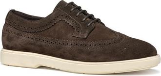 Geox Homme U SPHERICA EC17 E Tissu Oxford, Dark Brown, 44 EU