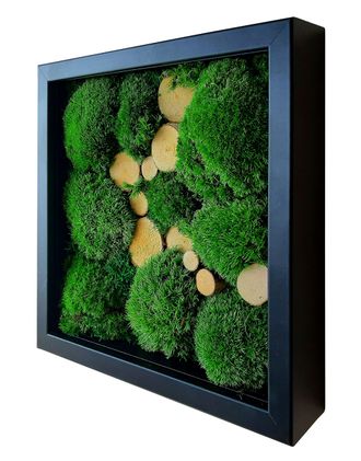 Generic Moosbild - Rahmen mit Moos - Bilderrahmen mit Kugelmoos und Holzscheiben - Moosbilder für Ihr Haus - verschiedene Großen - Handgefertigt Mooswand - Ei