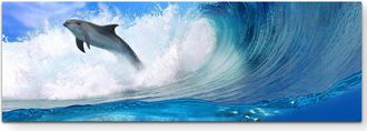 Paul Sinus Art Leinwandbilder | Bilder Leinwand 120x40cm spielende Delfine im Meer