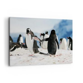 Arttor Bilder auf Leinwand 100x70cm Leinwandbild Pinguine Winter Natur Schnee Gro&szlig; Wanddeko Bild Schlafzimmer K&uuml;che Deko Wandbilder Dekoration Wohnzimmer Wal