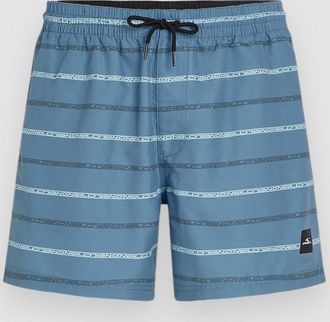 O'Neill Cali First 15 Boardshorts neill stripe