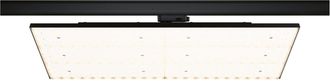 Paulmann 96582 ProRail3 LED Panel Deck 6600lm 75W 3000K 230V Schwarz Schienenbeleuchtungssystem