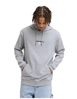 DC Vantura - Sweat &agrave; capuche - Gris chin&eacute; clair