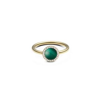 Daniel Wellington Rings - - Accessories - Damen - Gelb - 58 MM