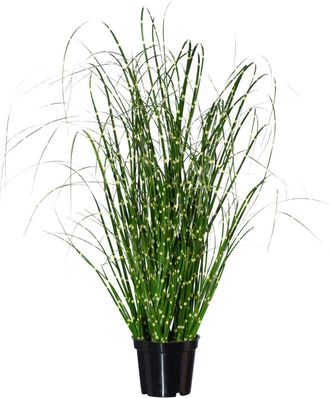 Gasper K&uuml;nstliches Zebragras Miscanthus Zebrinus im Topf H. 52cm gr&uuml;n