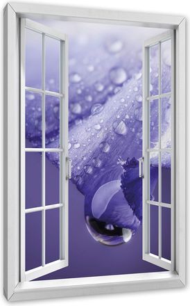 Pixxprint Lila Blüte mit Tropfen, Fenster, Größe: 80x60cm, Leinwandbild, fertig gespannt, Wandbild, Dekoration, Kunstdruck, kein Poster