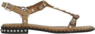 Ash Ash, Femme, Chaussures, Brun, Taille: 36 EU Podium Studded Sandal