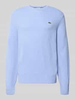 Lacoste Regular Fit Strickpullover aus reiner Wolle
