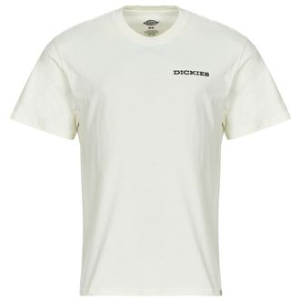 Dickies LANDASCAPE SS TEE