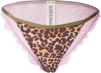 Love Stories Slip Wild Rose