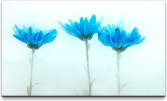 Paul Sinus Art Bilder XXL Blaue Blumen 120x70cm Wandbild auf Leinwand