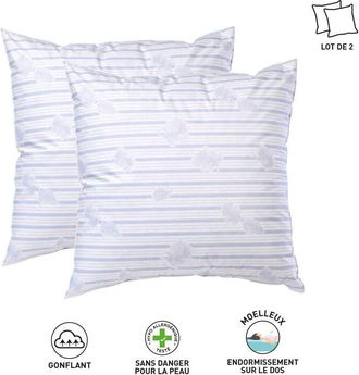 Blanrêve Blanreve - Lot de 2 oreillers 60 x 60 cm Blanrêve Gamme Naturelle Prestige plumes véritables confort moelleux