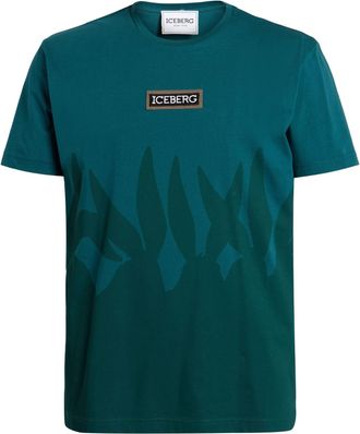 Iceberg LOONEY TUNES