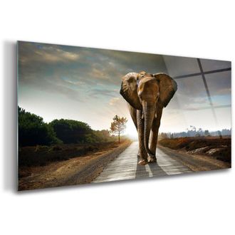 Tulup Tulup - Tableau sur verre - 100 x 50 cm - Tableau mural d&eacute;coratif - Verre D&eacute;corative - Coucher de Soleil Safari