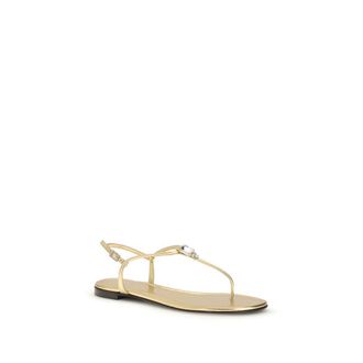Giuseppe Zanotti Womens Gold Calf Leather Bos Taurus Flat Sandals