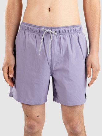 Rip Curl Daily Volley Boardshorts lavender