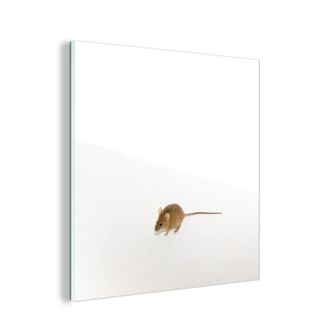 MuchoWow Glasbild Glasfoto Wandbild Bilder Deko 50x50 cm Maus - Tiere - Wei&szlig;