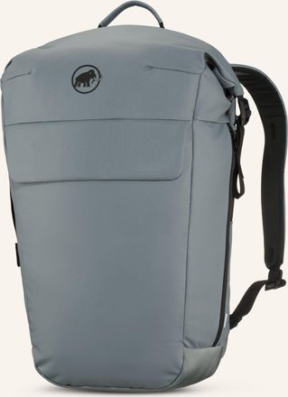 Mammut Mammut Rucksack Seon Courier 20 L Mit Laptop-Fach grau