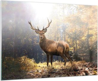 Arttor Bilder auf Glas 100x70cm Glasbild Licht Hirsch Wald Groß Wanddeko Bild im Glas Schlafzimmer Küche Deko Wandbilder Dekoration Wohnzimmer Modern Wall De