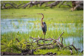 Wallario Outdoor-Poster f&uuml;r Garten oder Balkon Graureiher am Wasser, Motivbanner Gr&ouml;&szlig;e: ca. 120 x 180 cm, Outdoor-Bild