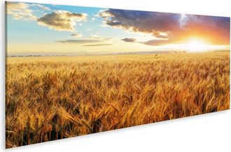 Islandburner Bild auf Leinwand Sonnenuntergang Weizen Feld Wandbild Poster Kunstdruck Bilder