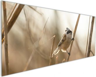 Wallario K&uuml;chenr&uuml;ckwand aus Glas 125 x 50 cm, Motiv: Vogel im Schilf | Spritzschutz abwischbar & pflegeleicht