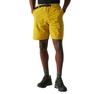 Regatta Short MALLEN - Homme (M) (Moutarde)