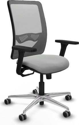 Piqueras y Crespo Drehstuhl Zulema grau mit 3D-Armlehnen, h&ouml;henverstellbare Lendenwirbelst&uuml;tze, ausgestattet mit 3 Positionen und Schneidschaum, mit Rollen von 65 mm, P