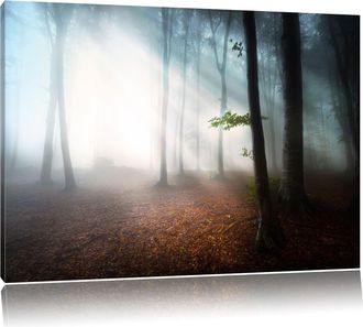 Pixxprint Düsterer Wald im Nebel, Größe: 60x40cm, Leinwandbild, fertig gespannt, Wandbild, Dekoration, Kunstdruck, kein Poster