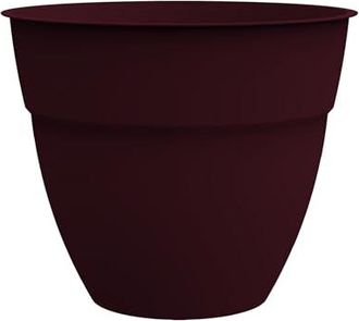 Eda Blumentopf, Bordeaux, Standard