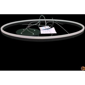 Paul Neuhaus [NEUWERTIG] Paul Neuhaus Titus Led H&auml;ngeleuchte Oval 80x39 Cm Deckenlampe Deckenleuchte Spot B-Ware