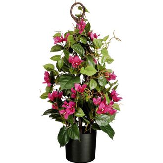 MiCa Decorations Mica Decorations - Bougainvillea im Topf &oslash; 30 x 60 cm fuchsia Zimmerpflanzen