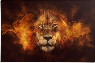 Reinders Poster, L&ouml;we in Flammen, Hobbyraum, Poster, Wanddeko, Room Decor, 150 gr. gl&auml;nzend Bilderdruckpapier, Braun, 61 x 91,5cm