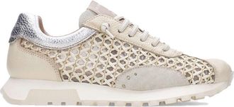 Hispanitas RHV264741