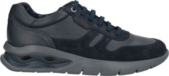 Callaghan ADAPTACTION