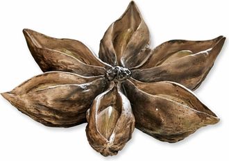 Loberon Deko-Objekt Wedekir, festlicher Anisstern, feine Handarbeit, Weihnachtsdekoration, Weihnachten, Polyresin, antikbraun