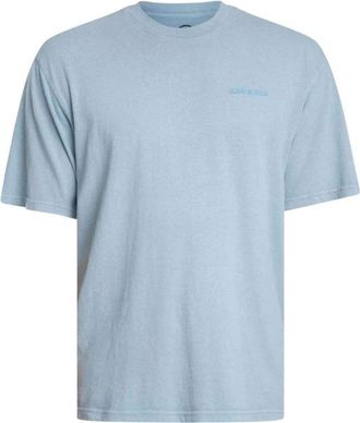 Dickies Homme, Tops, Bleu, Taille: XL Plentywood SS Tee