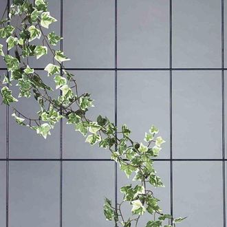 Siena Garden Siena Garden - Spalier 5-strebig, braun Ma&szlig;e: 150 x 75 cm