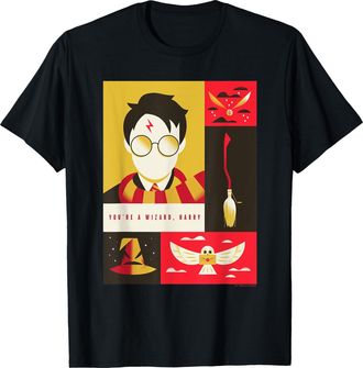 Harry Potter WB 100: Harry Potter Youre A Wizard, Harry Icons Poster T-Shirt