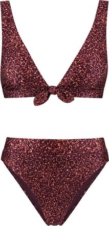 Shiwi Bikini Teddy